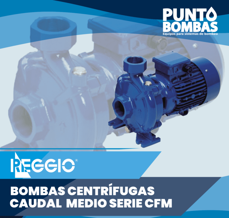 Bombas centrífuga normalizada serie Emporia NBC marca KSB – Punto Bombas